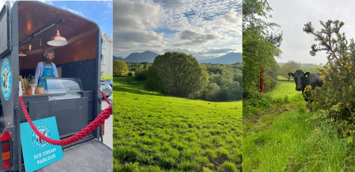 Muckross Creamery