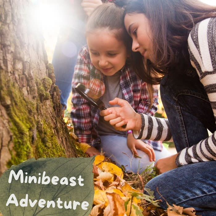 Minibeast Adventure - Visit Birmingham
