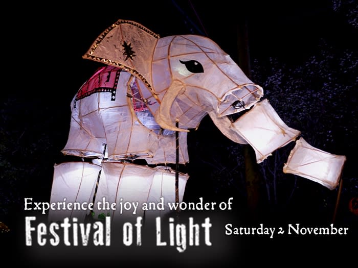 Festival of Light - Visit Birmingham