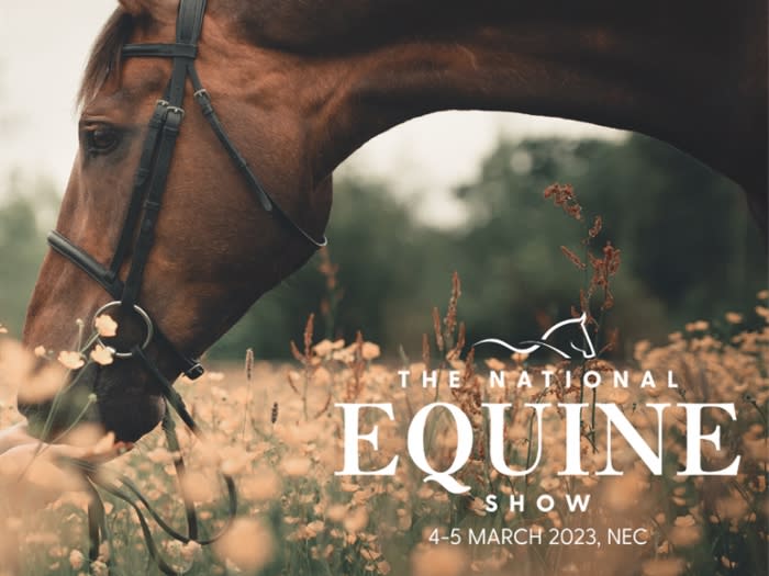 The National Equine Show - Visit Birmingham