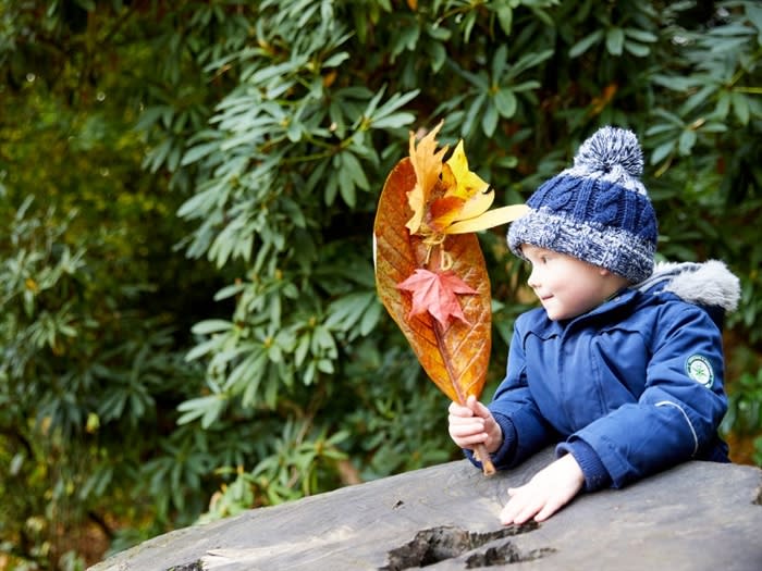 Make an Autumn Nature Wand and Leaf Rubbing - Visit Birmingham