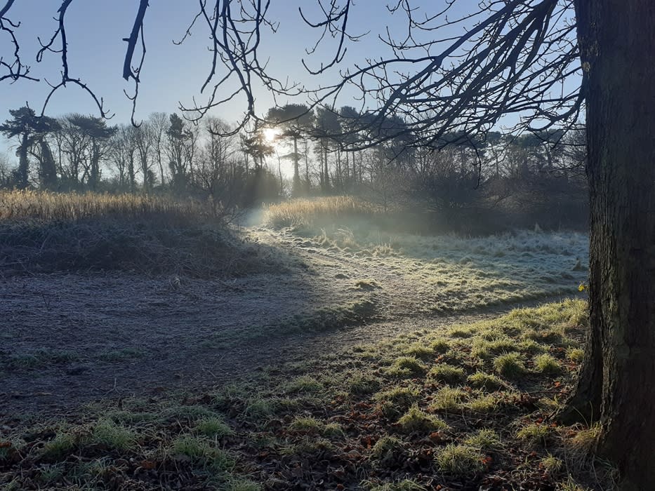 Guided Ranger's Walk - Historic Parkland - Visit Birmingham