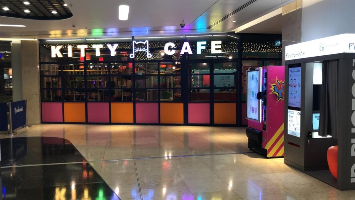 Kitty Café - Visit Birmingham