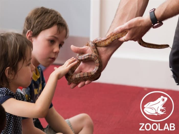 ZooLab Climate Crusader's Show - Visit Birmingham