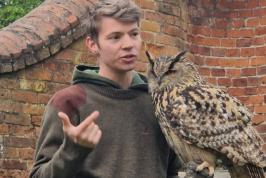 Meet the Birds.. a guided tour of the Gardens and Birds of Prey - Visit ...