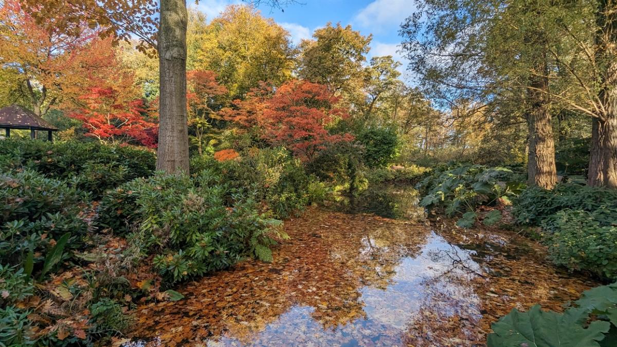 Autumn Garden Tour - Visit Birmingham