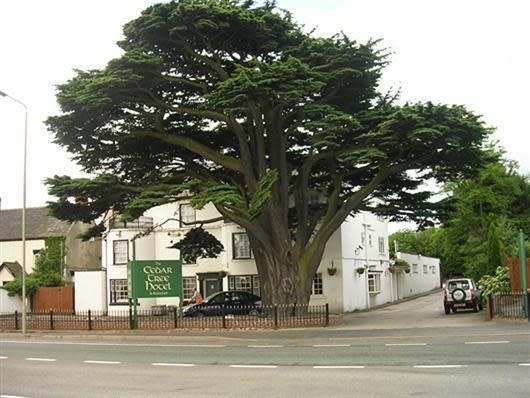 Cedar Tree Hotel - Visit Birmingham