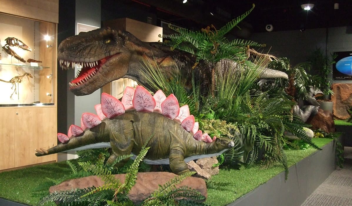 Dudley Museum at The Archives - Visit Birmingham