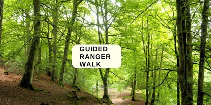 Guided Ranger at Castle Bromwich Historic Gardens - Visit Birmingham