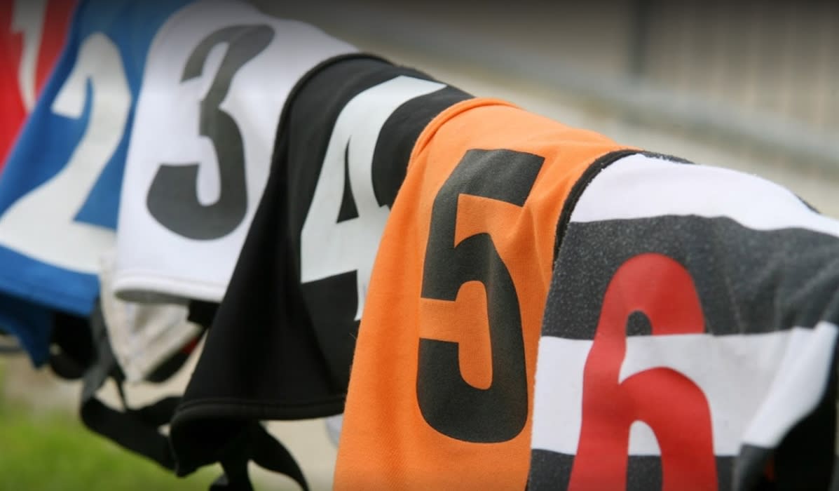 Greyhound Racing at Monmore Green - Visit Birmingham