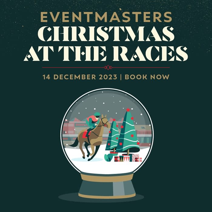 Christmas at the Races (Warwick Racecourse) - Visit Birmingham