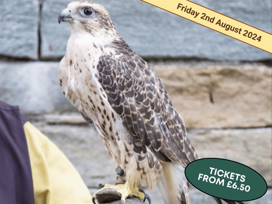 Birds of Prey in Tudor England at St Mary's Guildhall - Shakespeare's ...