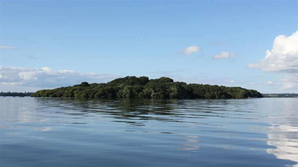 Lough Neagh and River Bann Boat Tour with Abhainn Cruises