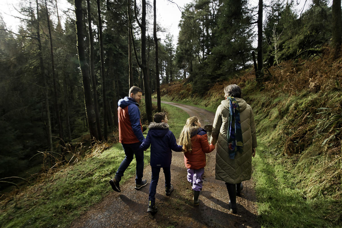 Davagh Forest - OM Dark Sky Park Landscape Experience