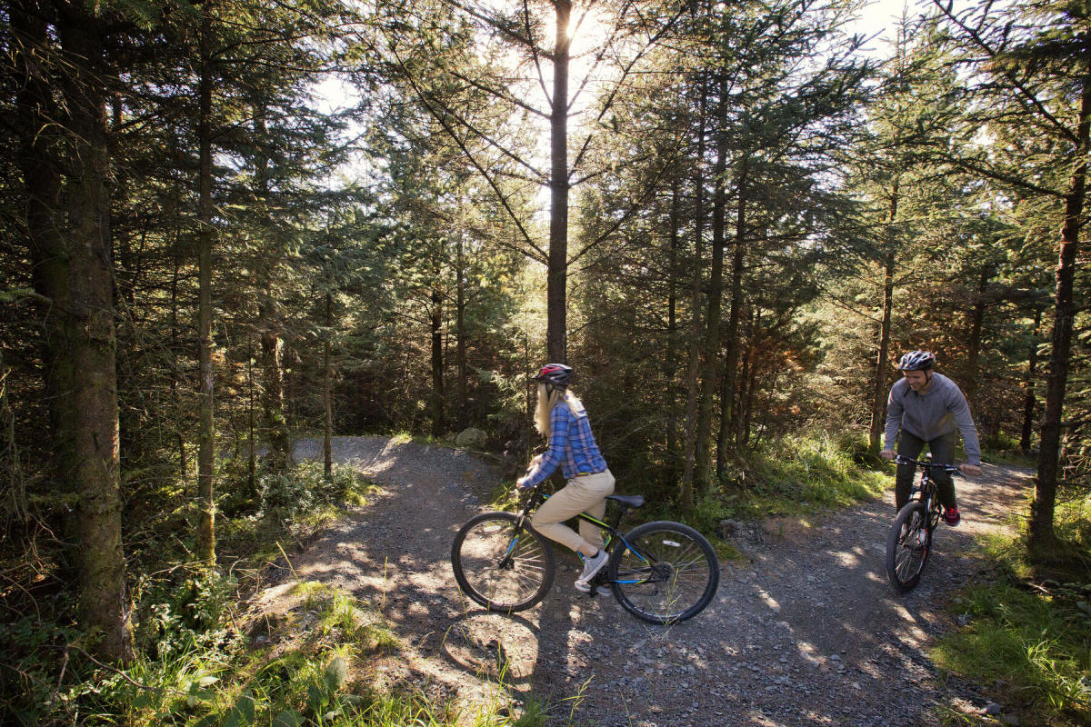 Davagh Forest Trails