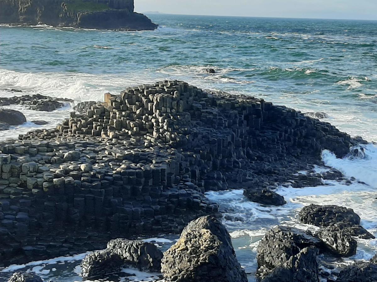 Little North Coast Tours