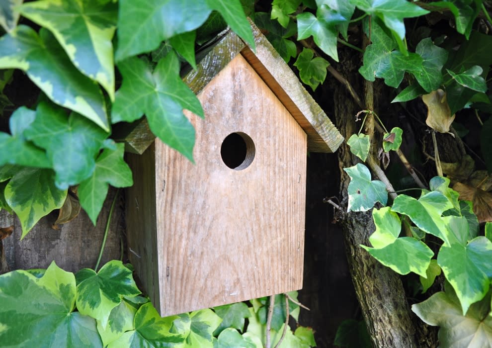 Celebrate National Nest Box Week with Heaton Park Team and RSPB