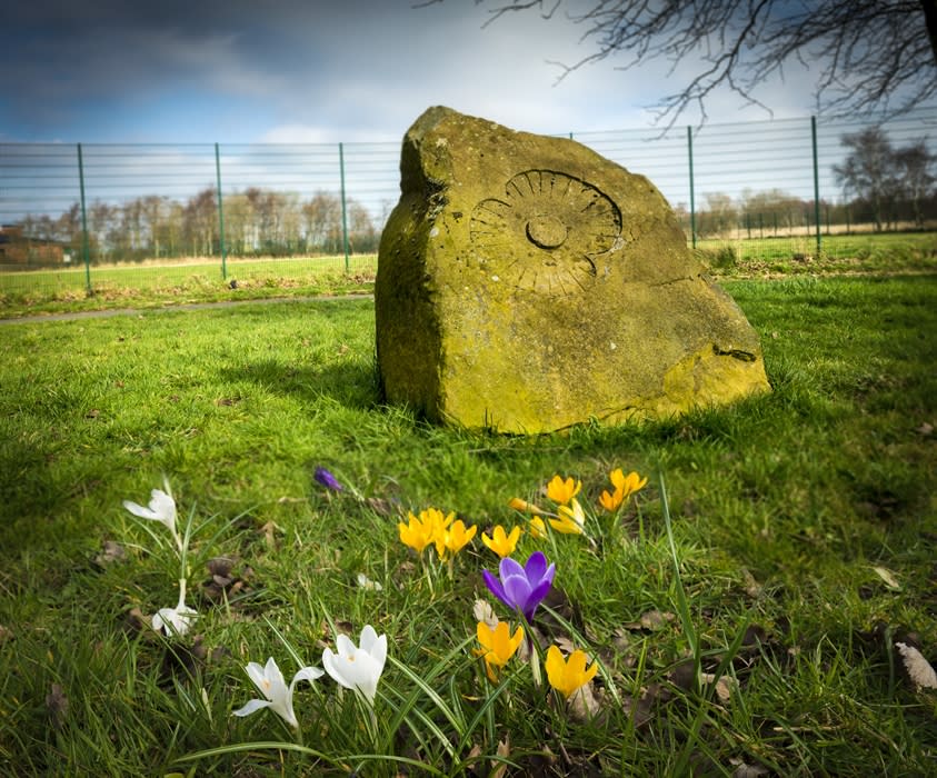 Bowlee Community Park