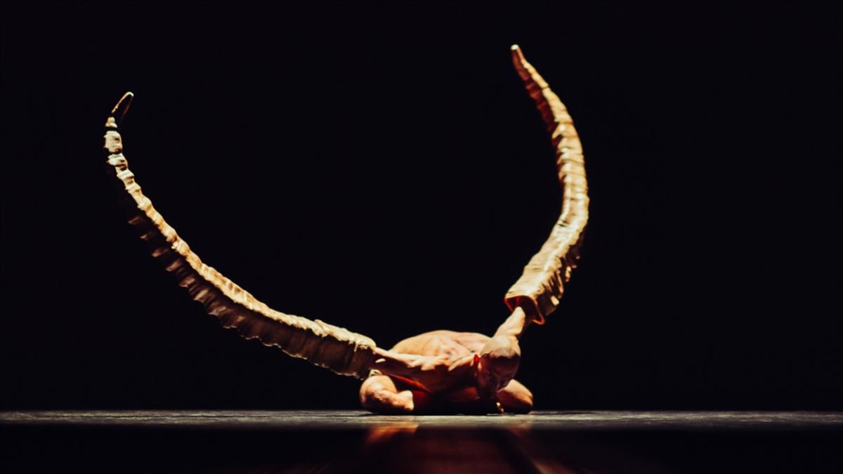 Figures in Extinction – Artist Talk