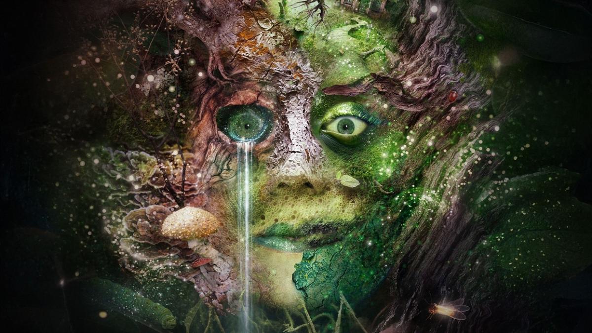 Bog Witch