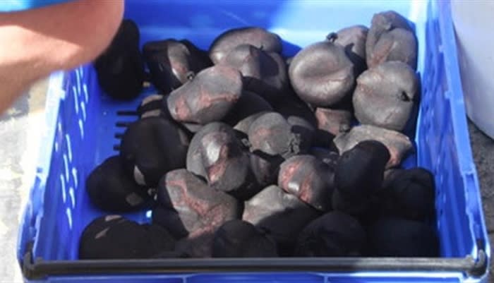 The World Black Pudding Throwing Championships