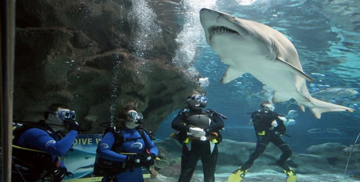 Blue Planet Aquarium