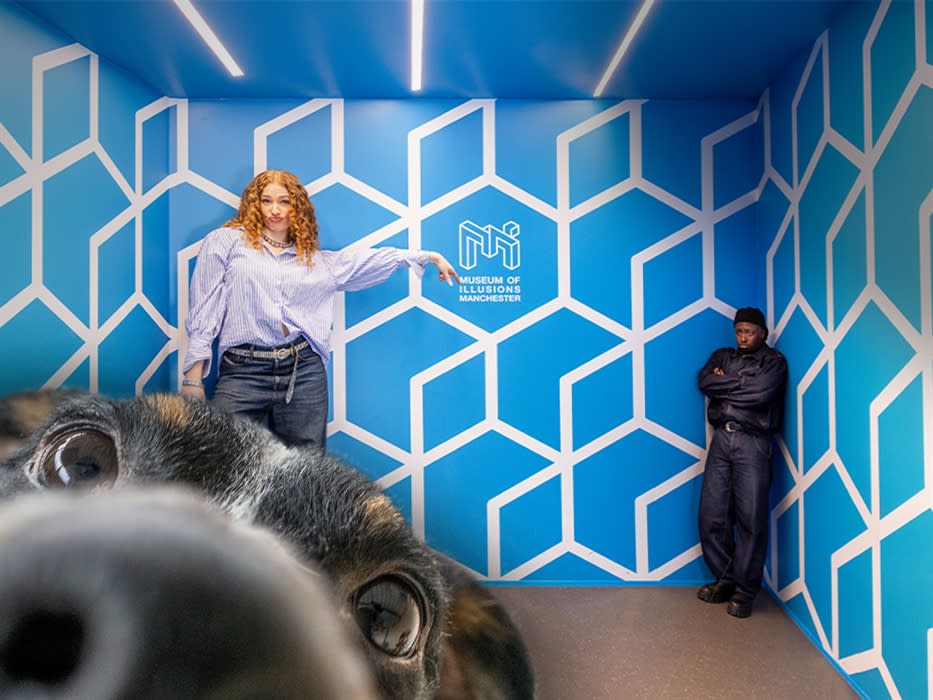 Manchester's favourite dog-friendly day out returns to Museum of Illusions