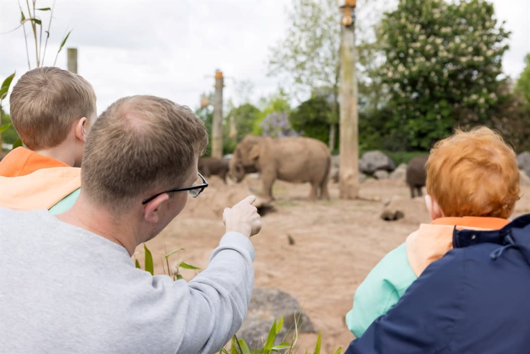 Chester Zoo