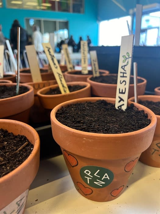 DIY Dibber Workshop with Studio Critical and Plant Co-operative