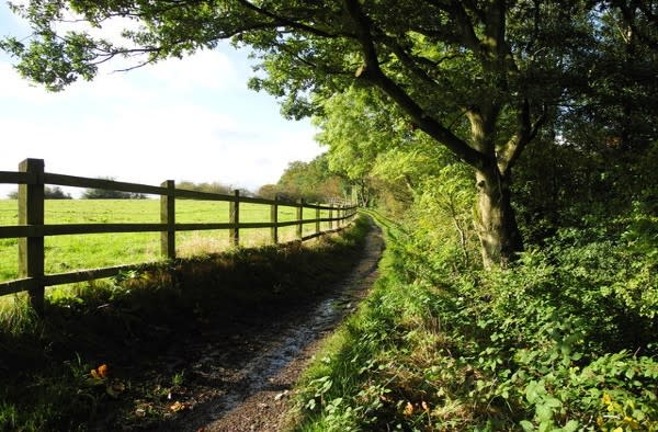 Daisy Nook Country Park