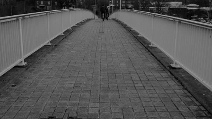 The Epping Walk Bridge