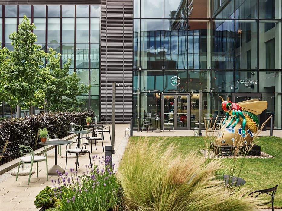 Sip Into Summer at The Graduate Bar