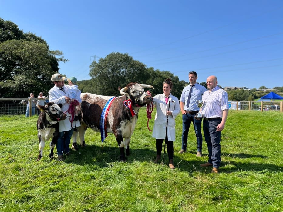 Mottram Summer Show 2026