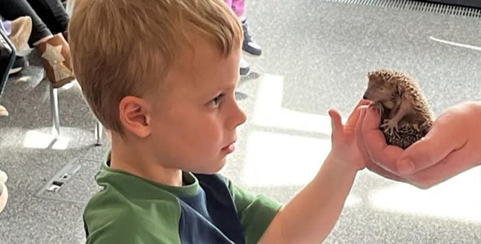 Curious Critters at Platt Bridge Library