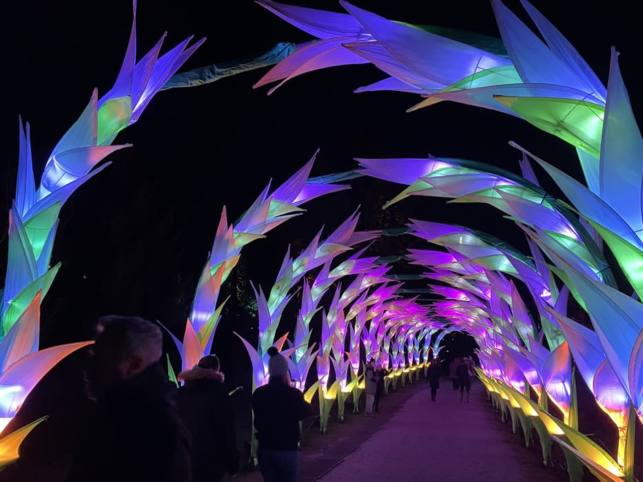 Northern Lights Manchester with John Lewis