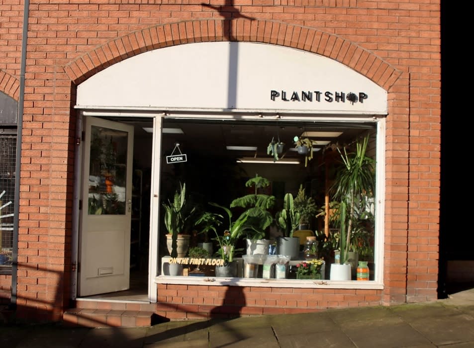 Plant Shop Manchester
