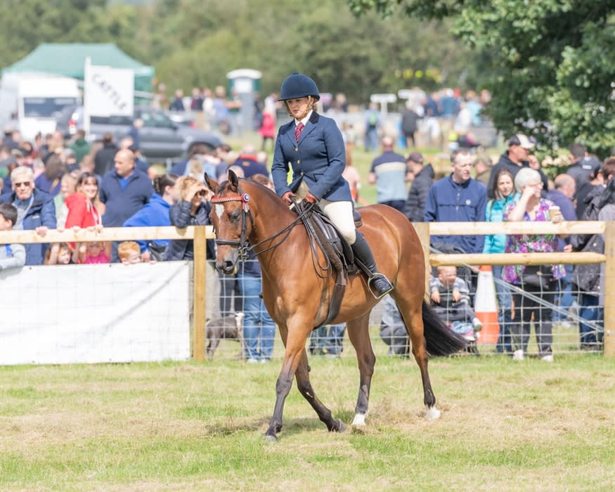 Mottram Spring Show 2026