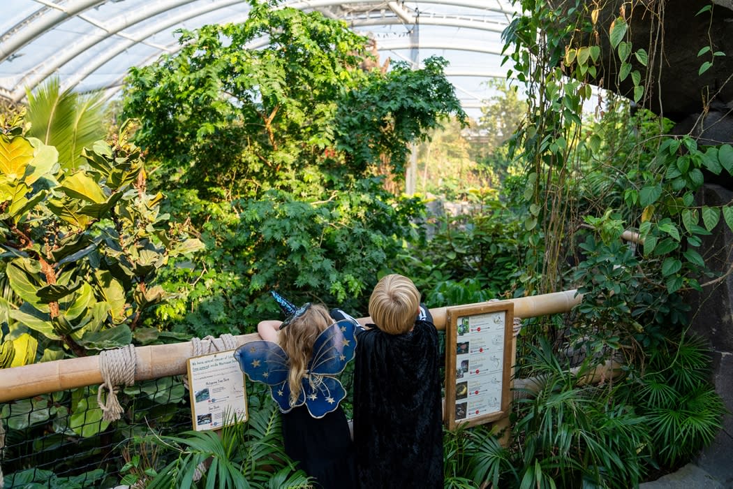 Autumn Adventures at Chester Zoo