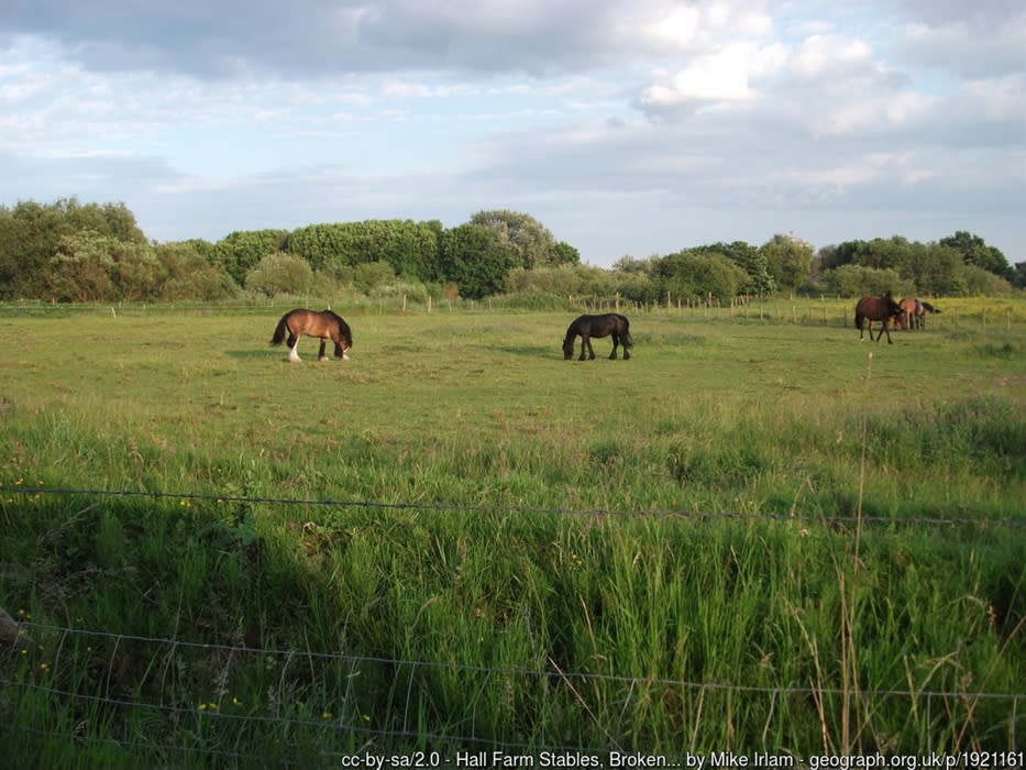Mersey Valley Urmston Meadows