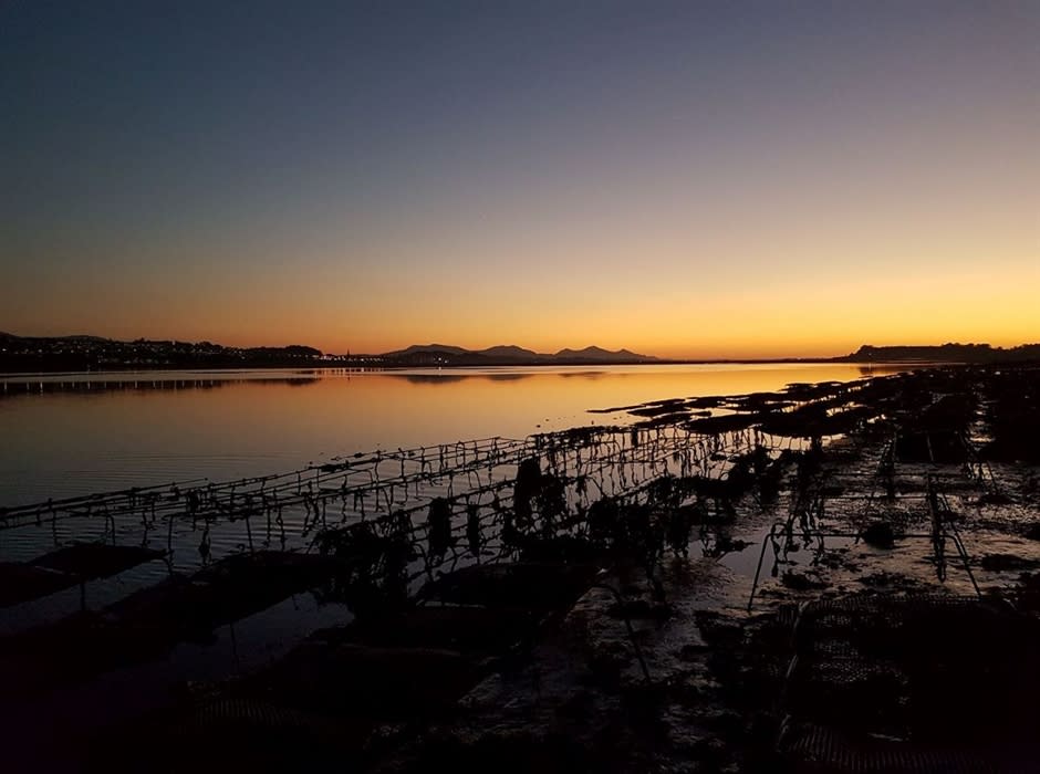 Menai Oysters & Mussels