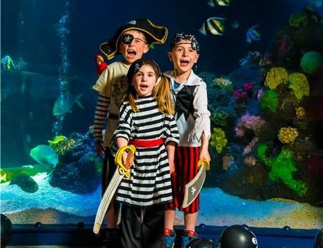 Pirate Treasure Hunt