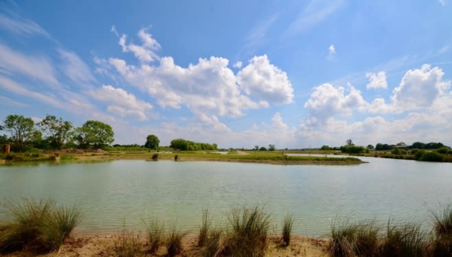 Hanworth Country Park