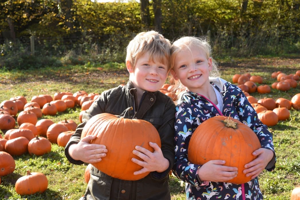 Doddington Hall Pumpkin Patch