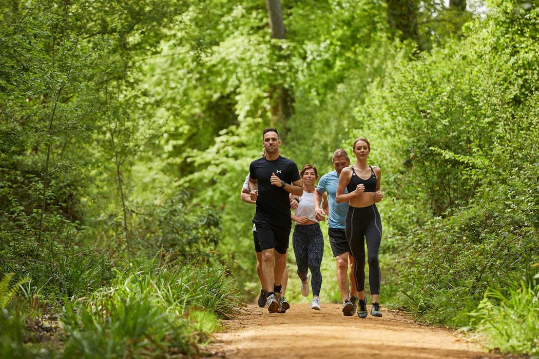 Forest Fix - Visit the New Forest