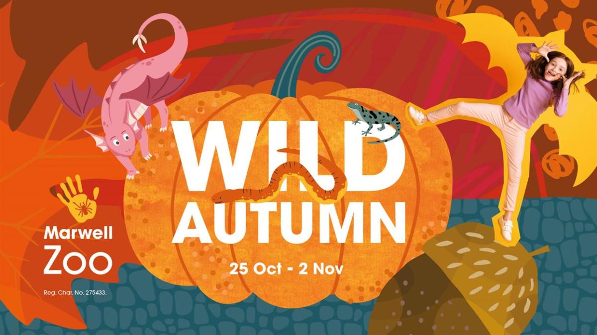 Wild Autumn at Marwell Zoo - Visit the New Forest