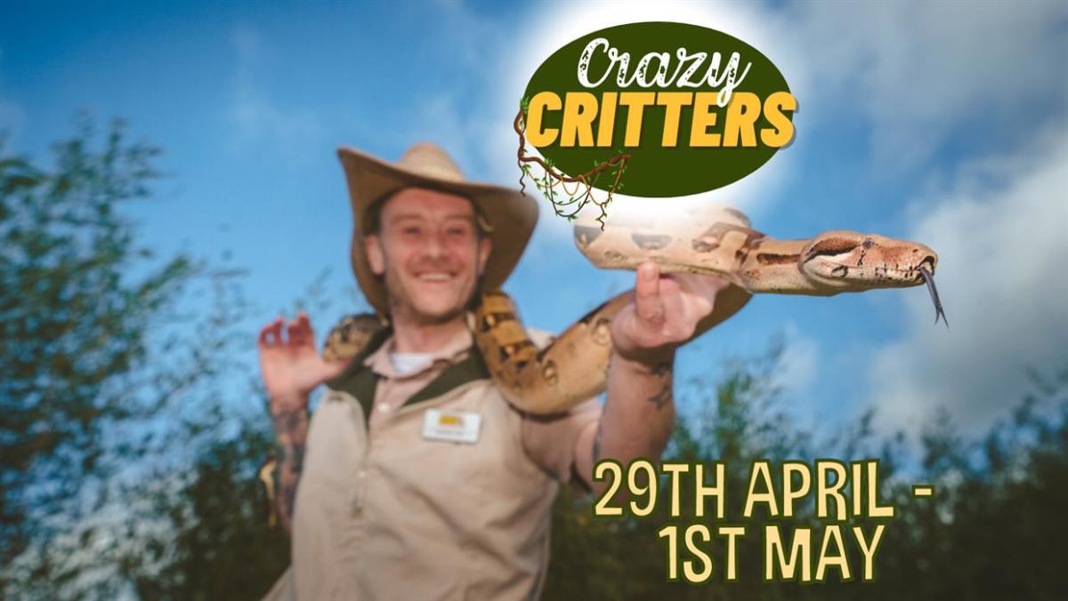 Crazy Critters!