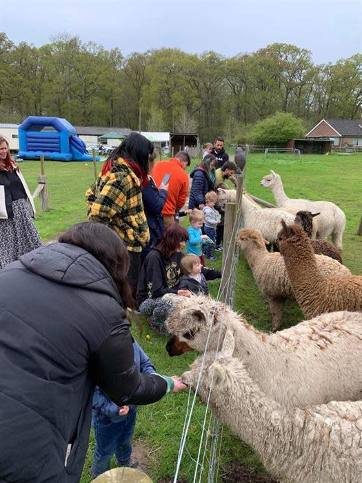 Farm Visit - Visit the New Forest