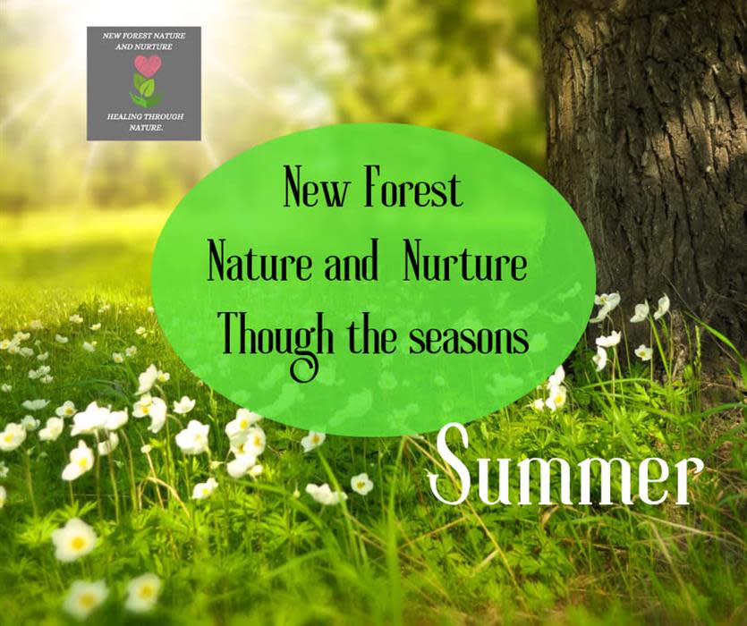 New Forest Nature and Nurture through the seasons - Summer - Visit the ...