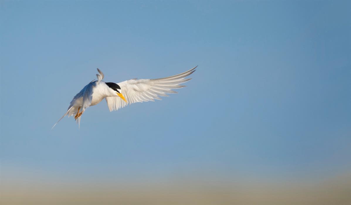 Beacon Lagoons Nature Reserve