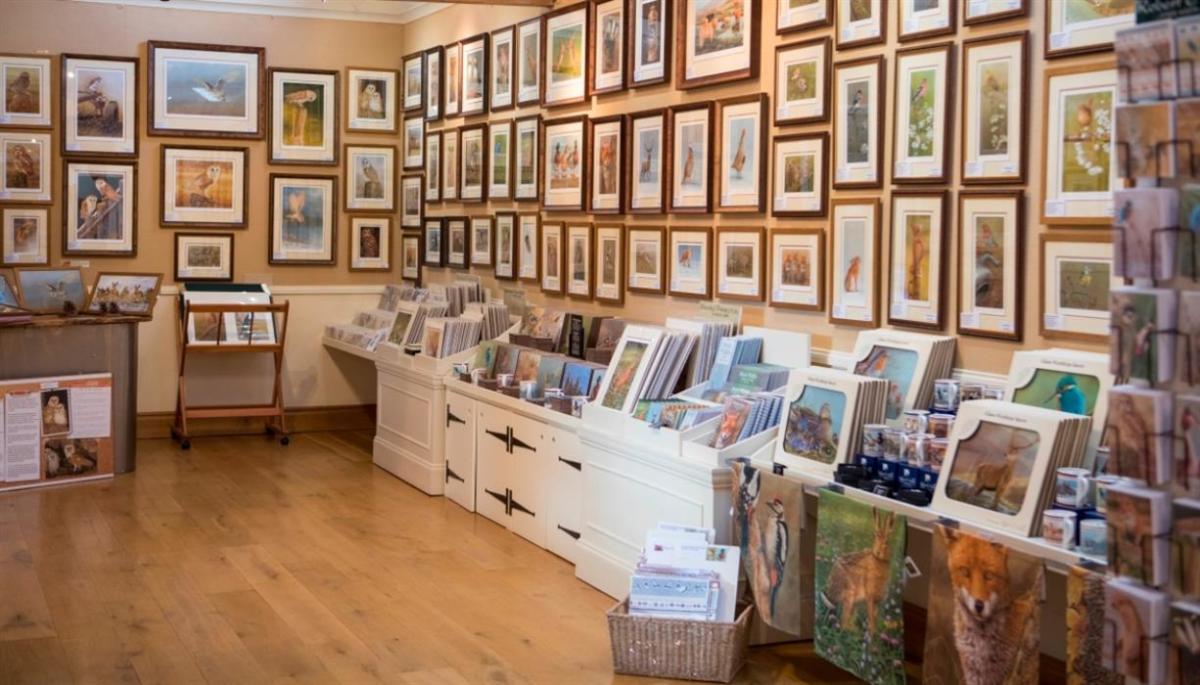 Robert Fuller Gallery